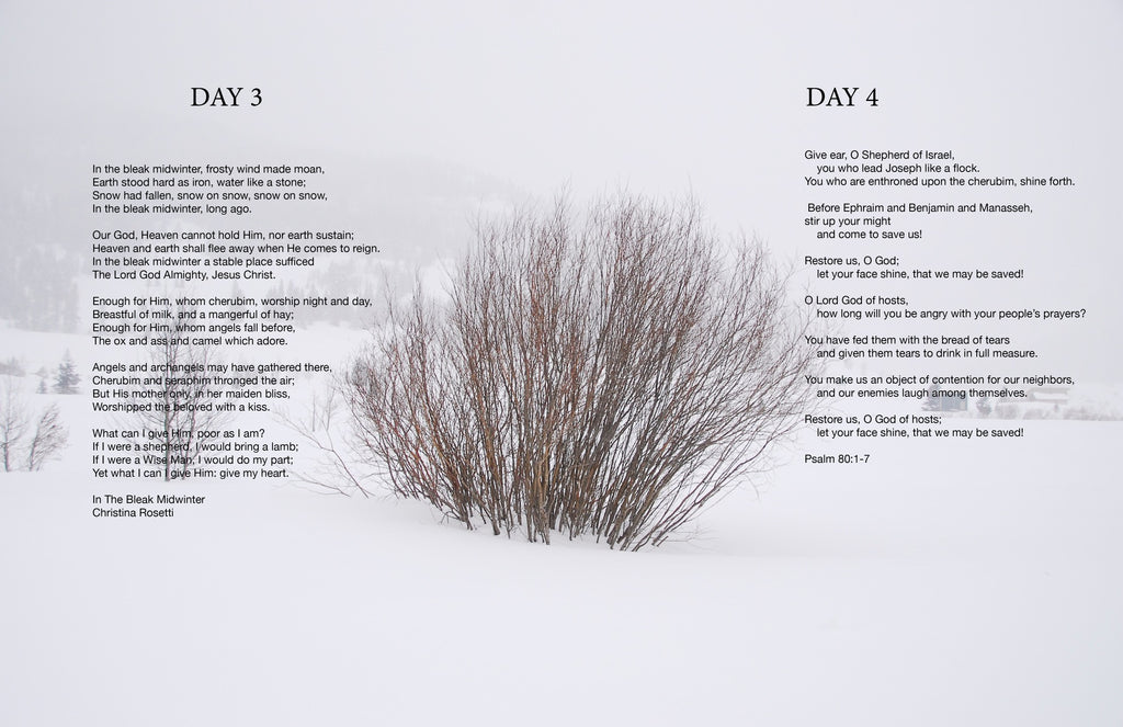 Advent Guide – A Modern Charlotte Mason